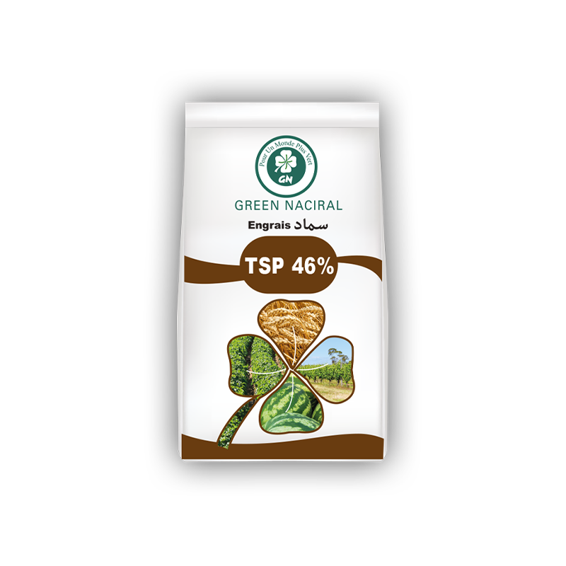 TSP 46 